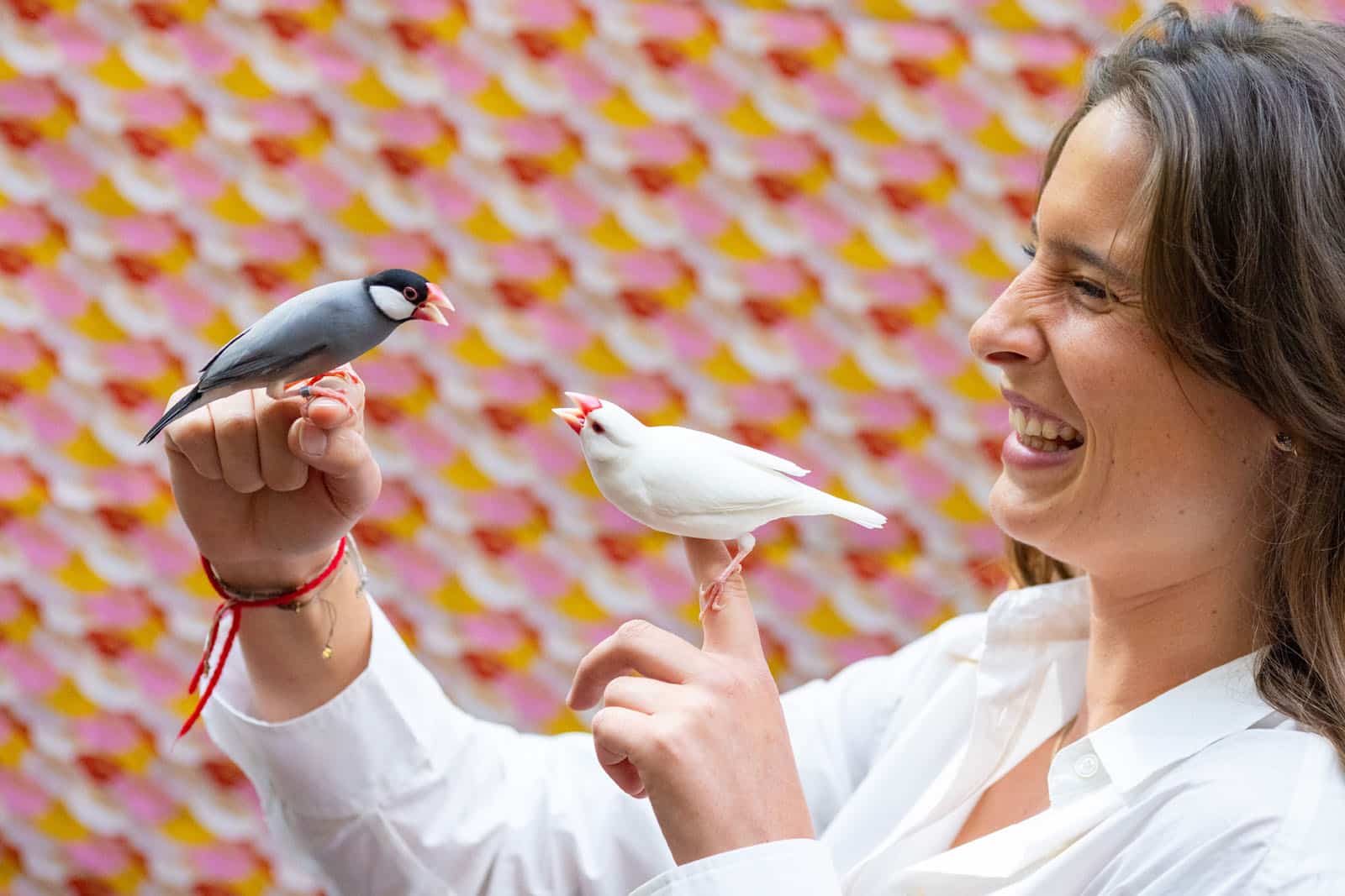 Nos Paddas – My Padda