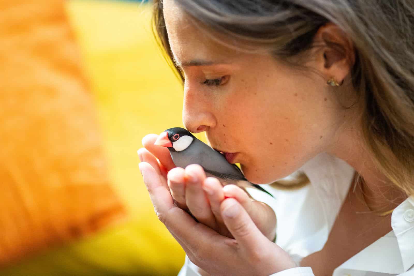 Nos Paddas – My Padda