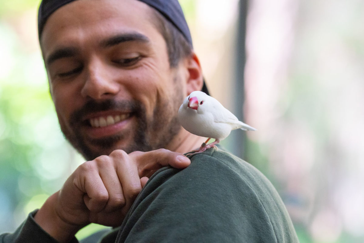 Nos Paddas – My Padda